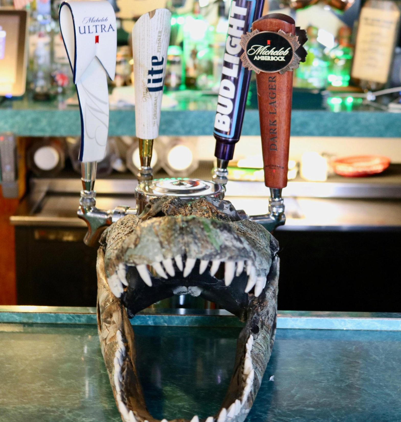 View Our Menu And Make Reservations | The Gator Shack